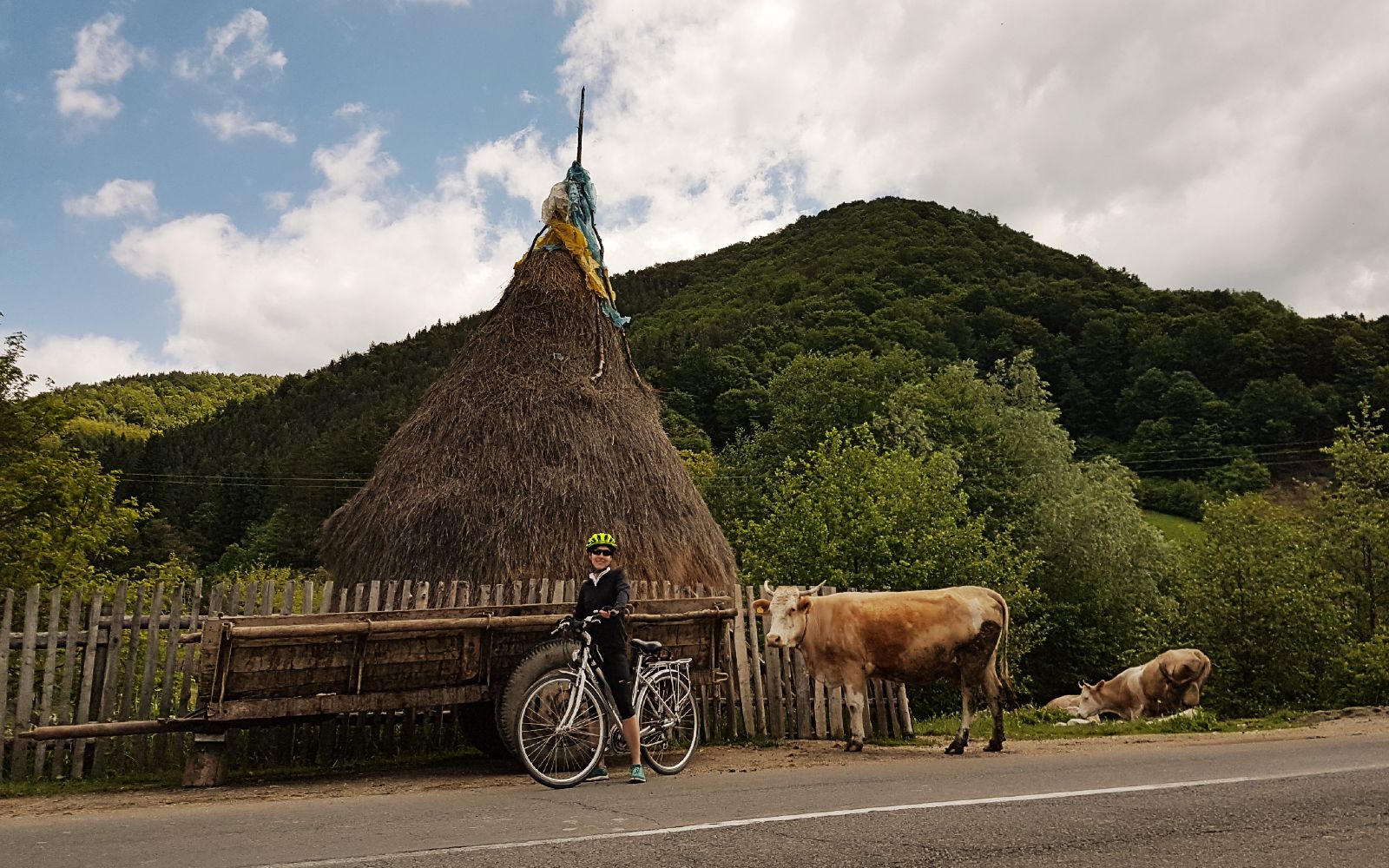 Cycle Transylvania